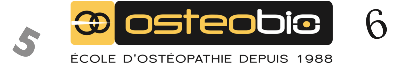 Devenir ostéopathe : les 10 bonnes raisons de choisir Ostéobio ! | Ostéobio